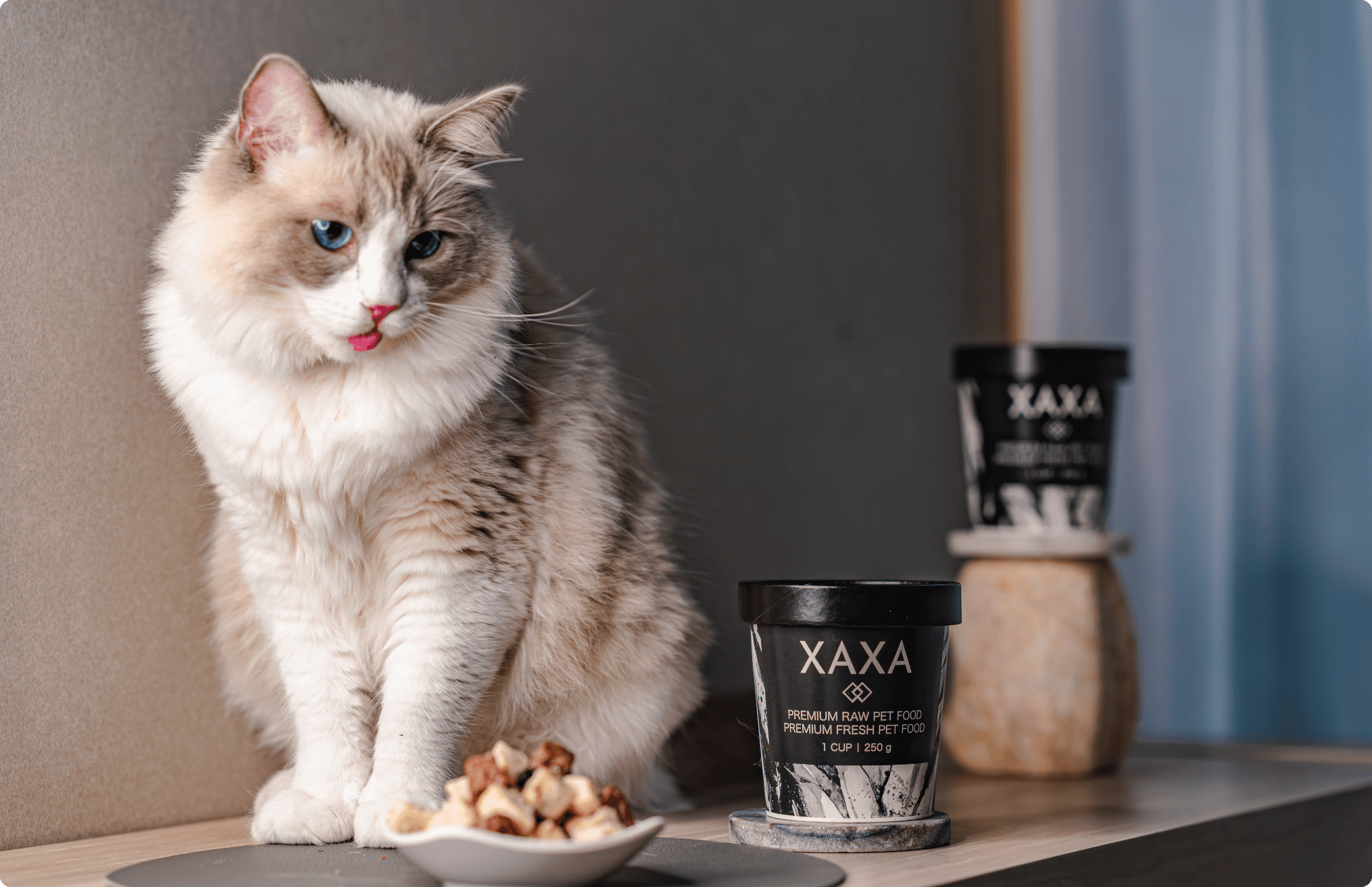 事業内容 | 株式会社XAXA(ザザ)